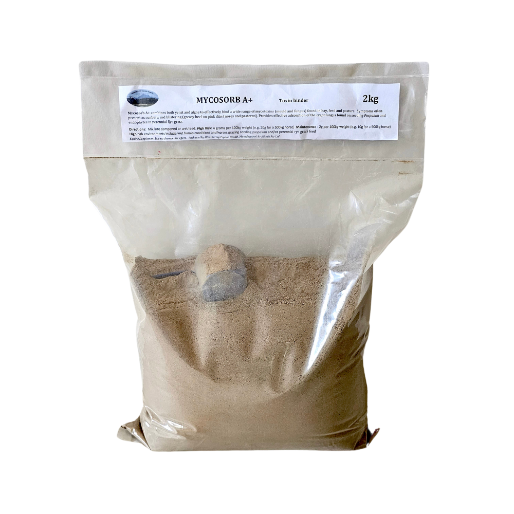Weathertop Equine Minerals Mycosorb A+ – The Equine Apothecary
